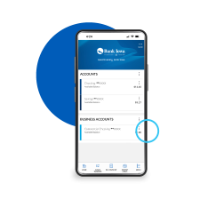 Business Banking Online | Manage Funds Anytime | Bank Iowa